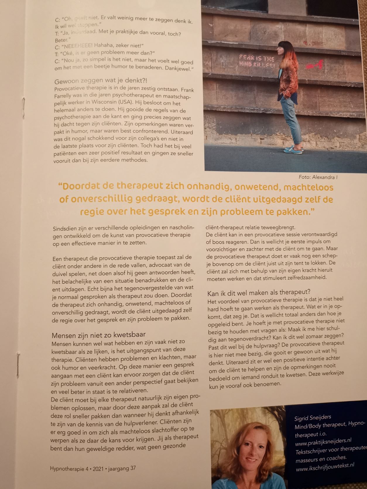 Provocatieve therapie voor therapeuten
